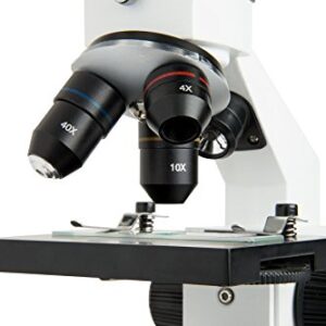 Celestron – Celestron Labs – Monocular Head Compound Microscope – 40-800x Magnification – Adjustable Mechanical Stage – Includes 2 Eyepieces and 10 Prepared Slides