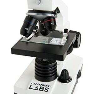 Celestron – Celestron Labs – Monocular Head Compound Microscope – 40-800x Magnification – Adjustable Mechanical Stage – Includes 2 Eyepieces and 10 Prepared Slides