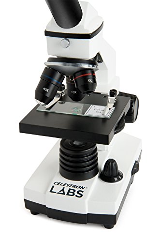 Celestron – Celestron Labs – Monocular Head Compound Microscope – 40-800x Magnification – Adjustable Mechanical Stage – Includes 2 Eyepieces and 10 Prepared Slides