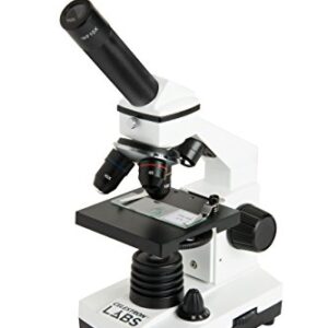 Celestron – Celestron Labs – Monocular Head Compound Microscope – 40-800x Magnification – Adjustable Mechanical Stage – Includes 2 Eyepieces and 10 Prepared Slides