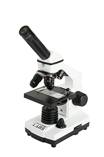 Celestron – Celestron Labs – Monocular Head Compound Microscope – 40-800x Magnification – Adjustable Mechanical Stage – Includes 2 Eyepieces and 10 Prepared Slides