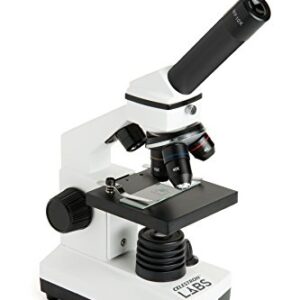 Celestron – Celestron Labs – Monocular Head Compound Microscope – 40-800x Magnification – Adjustable Mechanical Stage – Includes 2 Eyepieces and 10 Prepared Slides