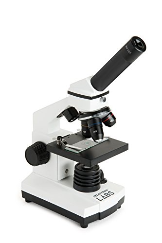 Celestron – Celestron Labs – Monocular Head Compound Microscope – 40-800x Magnification – Adjustable Mechanical Stage – Includes 2 Eyepieces and 10 Prepared Slides