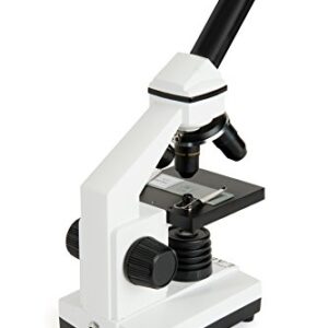 Celestron – Celestron Labs – Monocular Head Compound Microscope – 40-800x Magnification – Adjustable Mechanical Stage – Includes 2 Eyepieces and 10 Prepared Slides