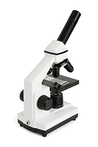 Celestron – Celestron Labs – Monocular Head Compound Microscope – 40-800x Magnification – Adjustable Mechanical Stage – Includes 2 Eyepieces and 10 Prepared Slides