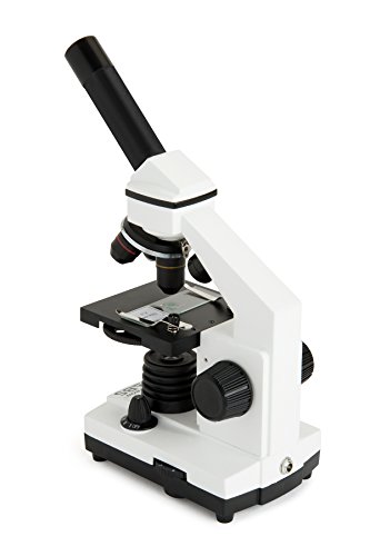 Celestron – Celestron Labs – Monocular Head Compound Microscope – 40-800x Magnification – Adjustable Mechanical Stage – Includes 2 Eyepieces and 10 Prepared Slides