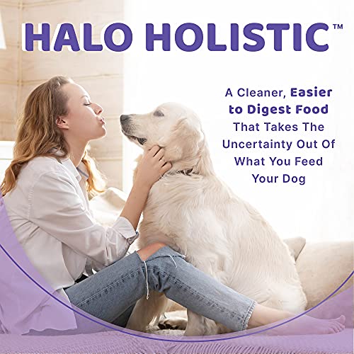 Halo Wet Dog Food For Small Dogs, Grain Free, Turkey & Duck 5.5 Ounce (Pack of 12)