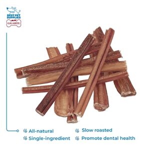 GigaBite 6 Inch Natural Odor Bully Sticks Treats (10 Pack) All Natural, Free Range Beef Pizzle Dog Chews – by Best Pet Supplies