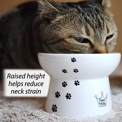 Necoichi Raised Stress Free Cat Food Bowl, Elevated, Backflow Prevention, Dishwasher and Microwave Safe, No.1 Seller in Japan! (Cat, Regular)