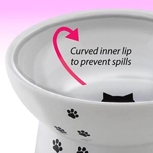 Necoichi Raised Stress Free Cat Food Bowl, Elevated, Backflow Prevention, Dishwasher and Microwave Safe, No.1 Seller in Japan! (Cat, Regular)