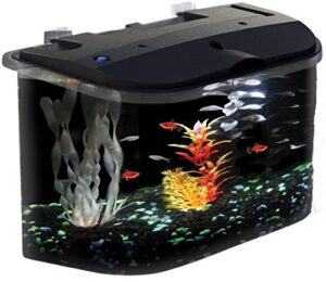 koller products 5-gallon aquarium kit with led lighting and power filter, ideal for a variety of tropical fish