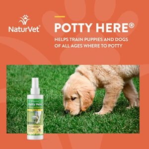 NaturVet – Potty Here Training Aid Spray | Attractive Scent Helps Train Puppies & Dogs Where to Potty | Formulated for Indoor & Outdoor Use | 8 oz