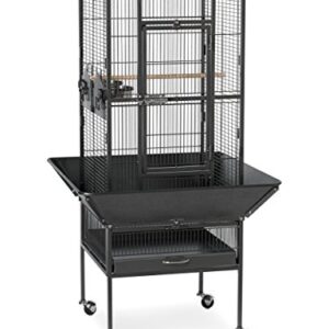 Prevue Pet Products 3351BLK Park Plaza Bird Cage, Black Hammertone, Small