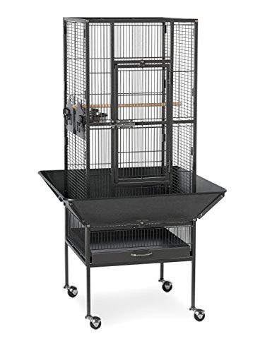 Prevue Pet Products 3351BLK Park Plaza Bird Cage, Black Hammertone, Small