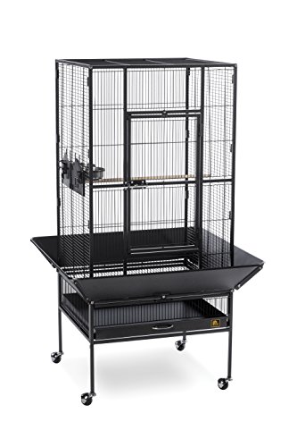 Prevue Pet Products 3352BLK Park Plaza Bird Cage, Black Hammertone, Large