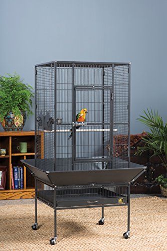 Prevue Pet Products 3352BLK Park Plaza Bird Cage, Black Hammertone, Large