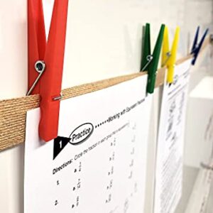 Teacher Created Resources Plastic Clothespins (20649)