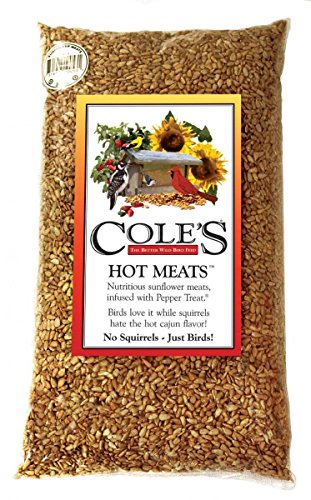 5LB Hot Meats Bird Food6