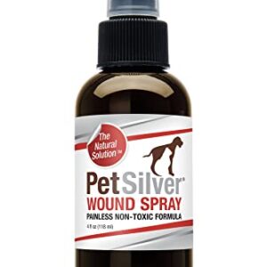 PetSilver Wound & Skin Spray with Chelated Silver, Made in USA, Vet Formulated, All Natural Pain Free Formula, Relief for Hot Spots, Wounds, Rashes and Various Skin Issues, 4 fl oz