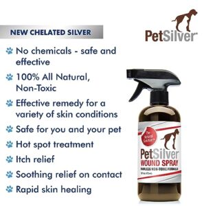 PetSilver Wound & Skin Spray with Chelated Silver, Made in USA, Vet Formulated, All Natural Pain Free Formula, Relief for Hot Spots, Wounds, Rashes and Various Skin Issues, 4 fl oz