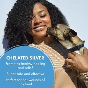 PetSilver Wound & Skin Spray with Chelated Silver, Made in USA, Vet Formulated, All Natural Pain Free Formula, Relief for Hot Spots, Wounds, Rashes and Various Skin Issues, 4 fl oz