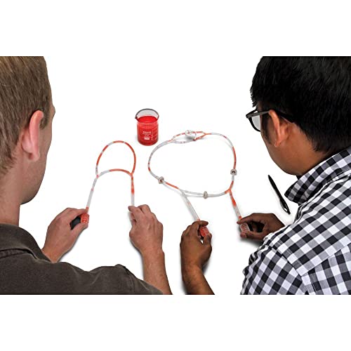 Carolina STEM Challenge: Circulatory System 1-Station Kit