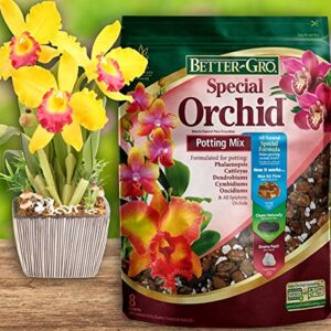 Sun Bulb 50000 Better Gro Special Orchid Mix, 4-Quart