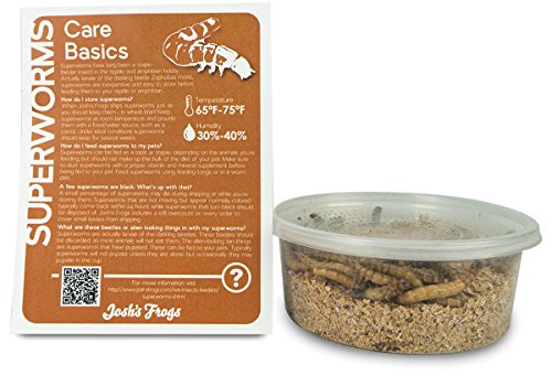 Josh's Frogs Superworms (50 Count)