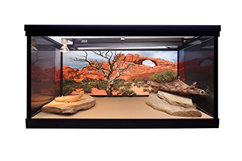 CAROLINA CUSTOM CAGES Reptile Habitat Background, Arch with Tree, 15.75" x 36"