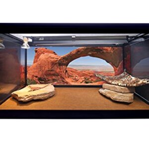 Carolina Custom Cages Reptile Habitat Background, Big Arch, 15.75" x 36"