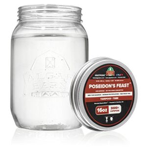 algaebarn poseidon's feast :: live marine copepods - 3000+ tisbe & tigriopus pods for mandarin & finicky fish (16oz)