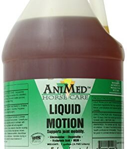 AniMed Liquid Motion Joint Supplement for Horses