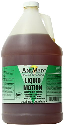 AniMed Liquid Motion Joint Supplement for Horses