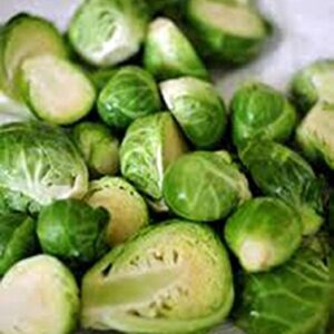 Brussel Sprouts Seed, Churchill, Heirloom, Non GMO, 25+ Seeds, Early Sprouting, COUNTRY CREEK ACRES