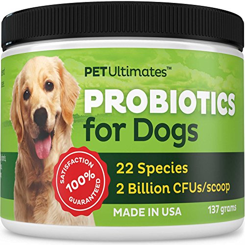 Pet Ultimates Probiotics for Dogs – 22-Species Dog Probiotics for Dog Digestive Support & Dog Antibiotics Recovery – Skin and Coat Supplement for Dogs Enhances Vitality – Dog Health Supplies (137 gr)