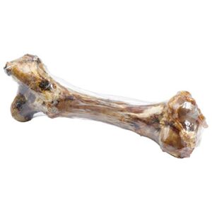 EcoKind Dog Bone Giant Femur Bone for Dogs | 1 Bone | Long Lasting Mammoth Dog Bones for Aggressive Chewers, Rawhide Free Healthy Dog Treat, Large Bones, Digestible Dog Chews & USDA Certified