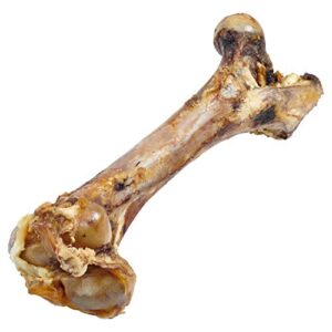 EcoKind Dog Bone Giant Femur Bone for Dogs | 1 Bone | Long Lasting Mammoth Dog Bones for Aggressive Chewers, Rawhide Free Healthy Dog Treat, Large Bones, Digestible Dog Chews & USDA Certified