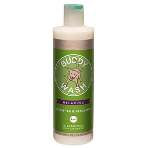 cloud star, buddy wash green tea bergamot, 16 ounce