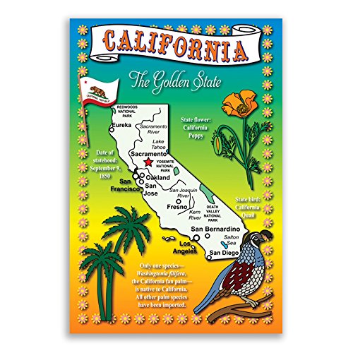 U.S. State Map Postcard Set. 50 modern post card variety pack. Illustrated postcards with maps of all fifty states of the United States of America. Made in USA.