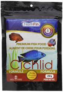 northfin cichlid