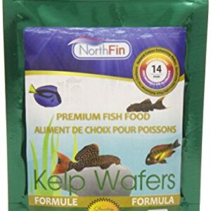 Northfin Kelp Wafers, 14 mm, 100 Grams