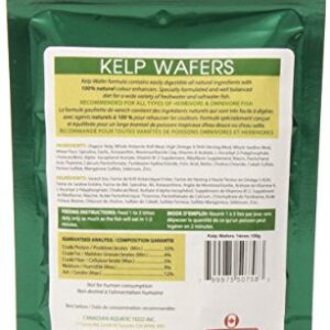 Northfin Kelp Wafers, 14 mm, 100 Grams