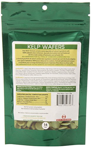 Northfin Kelp Wafers, 14 mm, 100 Grams