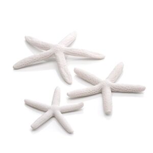 biorb 46134.0 starfish set 3 white aquariums