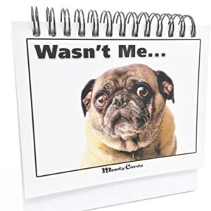 Office Gift for Dog Lovers - Moodycards! Make Everyone Laugh with These Adorable and Hilarious Dog Memes - Let The Dogs Tell Everyone How You Feel! A Terrific Office Gift! 25 Different Moods