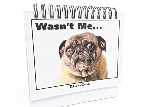 Office Gift for Dog Lovers - Moodycards! Make Everyone Laugh with These Adorable and Hilarious Dog Memes - Let The Dogs Tell Everyone How You Feel! A Terrific Office Gift! 25 Different Moods