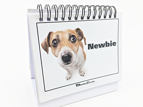 Office Gift for Dog Lovers - Moodycards! Make Everyone Laugh with These Adorable and Hilarious Dog Memes - Let The Dogs Tell Everyone How You Feel! A Terrific Office Gift! 25 Different Moods