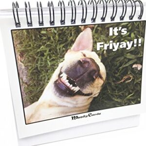 Office Gift for Dog Lovers - Moodycards! Make Everyone Laugh with These Adorable and Hilarious Dog Memes - Let The Dogs Tell Everyone How You Feel! A Terrific Office Gift! 25 Different Moods