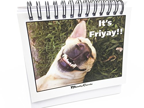 Office Gift for Dog Lovers - Moodycards! Make Everyone Laugh with These Adorable and Hilarious Dog Memes - Let The Dogs Tell Everyone How You Feel! A Terrific Office Gift! 25 Different Moods