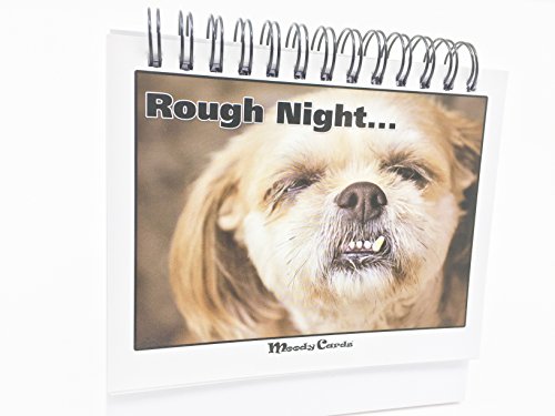 Office Gift for Dog Lovers - Moodycards! Make Everyone Laugh with These Adorable and Hilarious Dog Memes - Let The Dogs Tell Everyone How You Feel! A Terrific Office Gift! 25 Different Moods